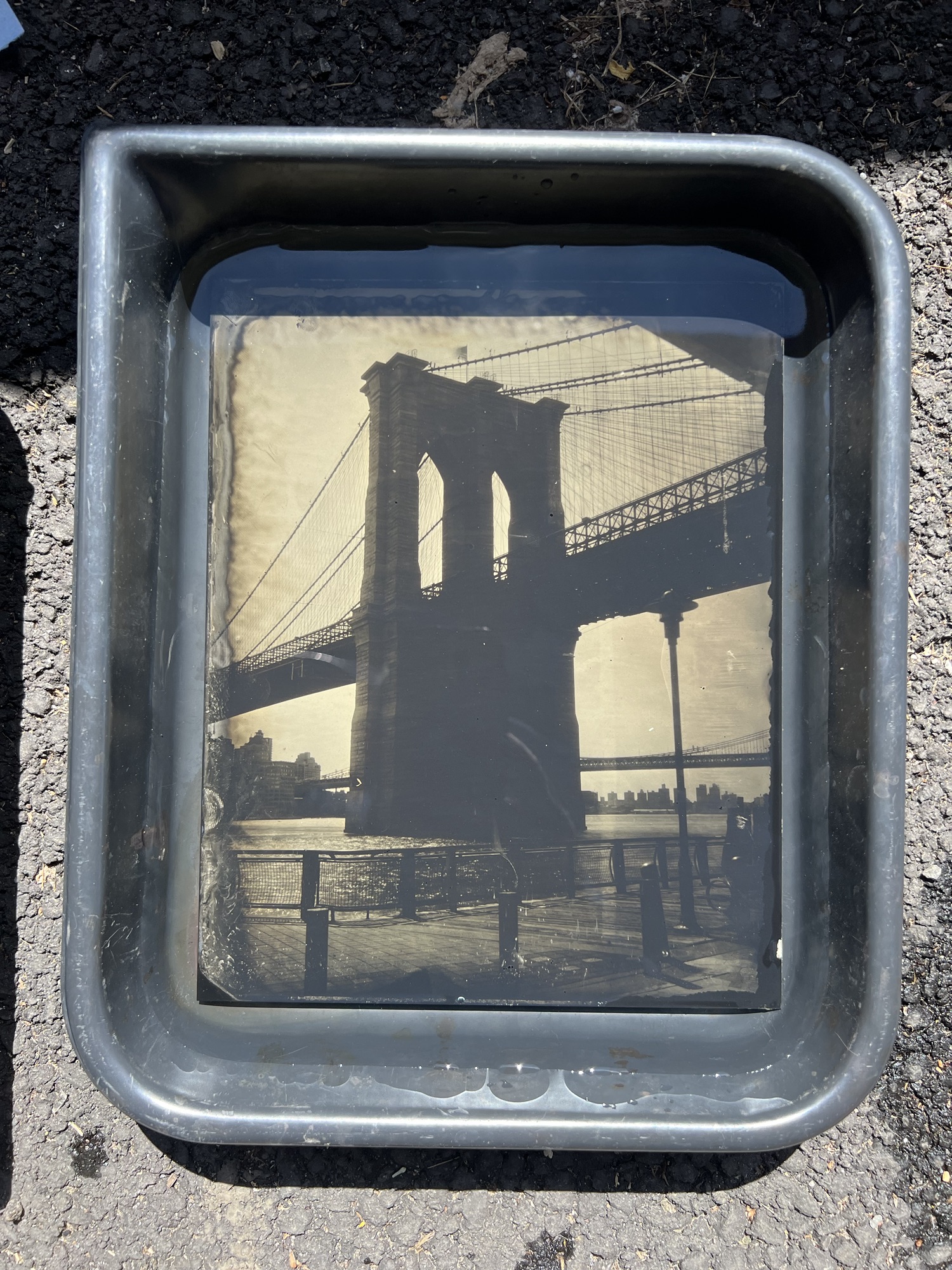 Webster’s Wet Plate – Unique images on glass, and metal